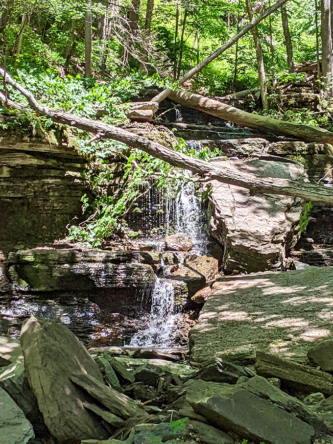 Nature's staircase of mini-waterfalls, where every drop has perfected its timing better than most stand-up comedians.