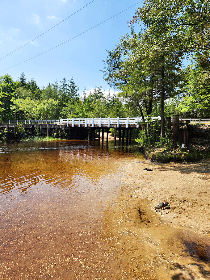 This rustic bridge isn't just crossing water—it's a portal between everyday life and the timeless tranquility of the Pine Barrens.