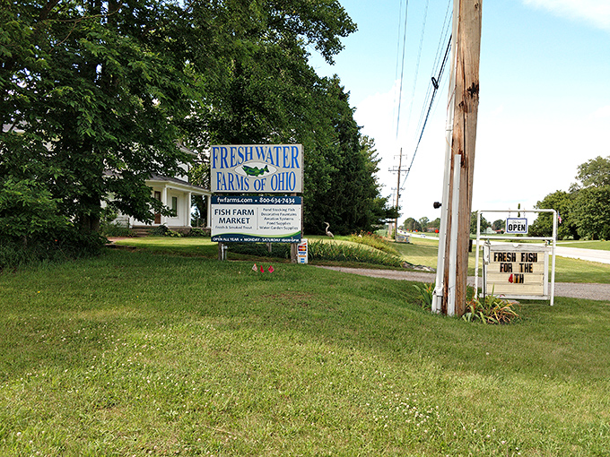 At Freshwater Farms of Ohio, "locally sourced" isn't a trendy restaurant phrase&mdash;it's what's swimming in the tanks waiting for your dinner table.
