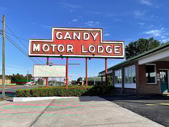 The vintage Gandy Motor Lodge sign stands as a neon-lit time capsule, reminding us when road trips meant adventure and motels weren't just places to sleep.