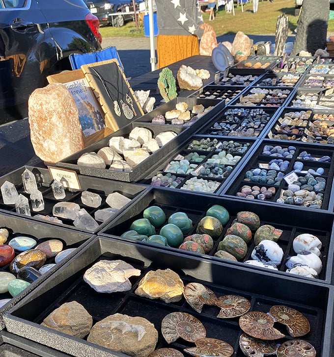 Nature's jewelry box spilled open. These meticulously organized gemstones and fossils offer a geological treasure hunt without the backache of actual mining.