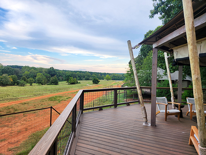 This deck view makes you want to pull up a chair, pour some sweet tea, and watch Georgia's landscape do absolutely nothing in the most spectacular way possible.