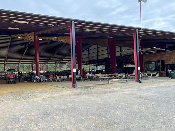 The Georgia Sports Arena hosts everything from livestock auctions to community gatherings&mdash;Southern multitasking at its finest.