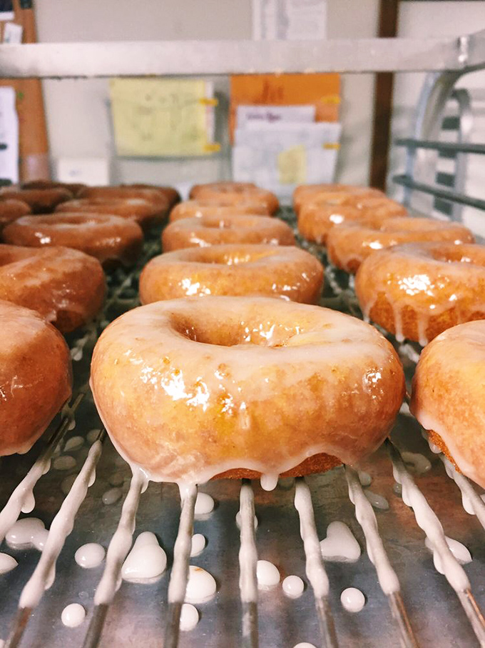 Behold the glazed donut battalion, standing at attention before their inevitable deployment to happy stomachs across Indiana.