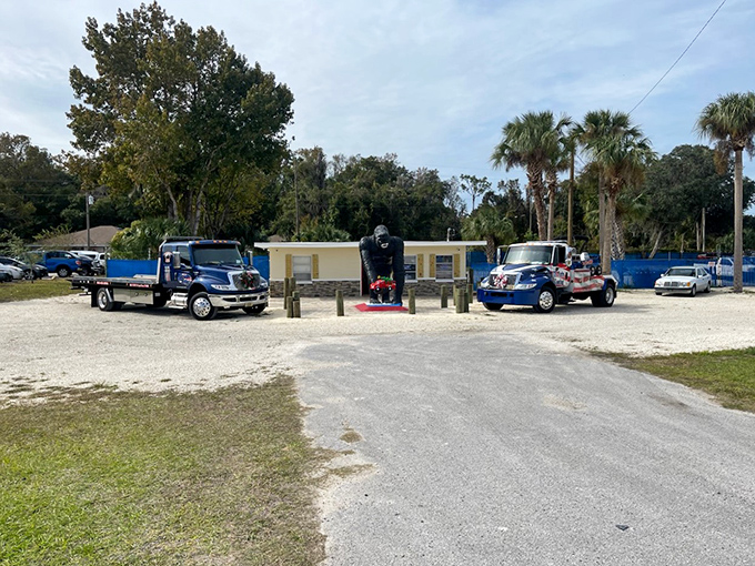 Morning in Crystal River: where tow trucks and primates peacefully coexist in a uniquely Florida tableau.