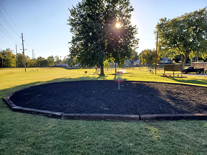Sunlight filtering through trees at Gorin Park creates nature's perfect spotlight for family picnics and impromptu frisbee championships.
