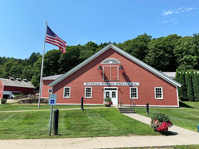 The Grafton Village Cheese Company's classic red barn houses Vermont's dairy alchemy, where milk transforms into edible gold worth every calorie.