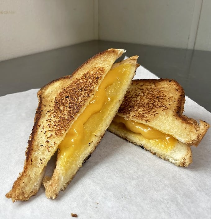 Not just any grilled cheese &ndash; this is the sandwich your childhood dreams were made of, with cheese that performs the perfect melty stretch.