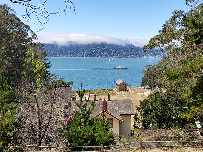 Fog-draped hills create the perfect backdrop for this postcard-worthy harbor scene. Even Hitchcock couldn't have staged a more dramatic California moment.