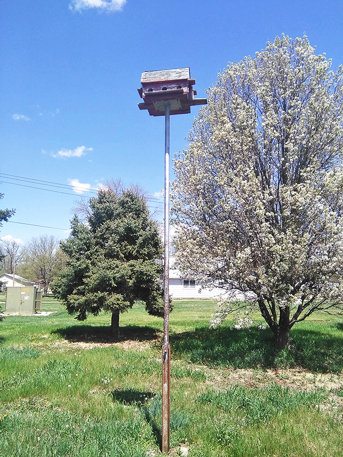 Spring announces itself with a flourish in Red Cloud, where even the birdhouses get prime real estate with panoramic prairie views.