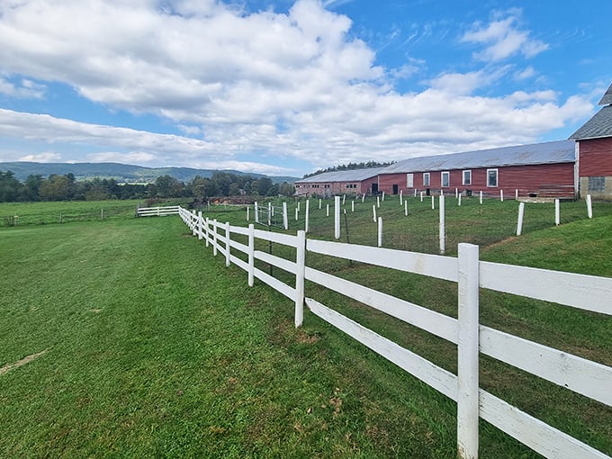 Vermont farm country offers that perfect blend of pastoral charm and mountain majesty &ndash; like someone took your childhood drawing of a farm and made it real.