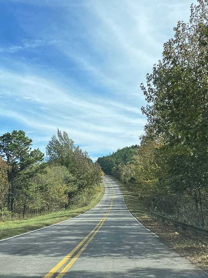 The road less traveled, literally. This stretch of asphalt whispers promises of adventure with every curve ahead.