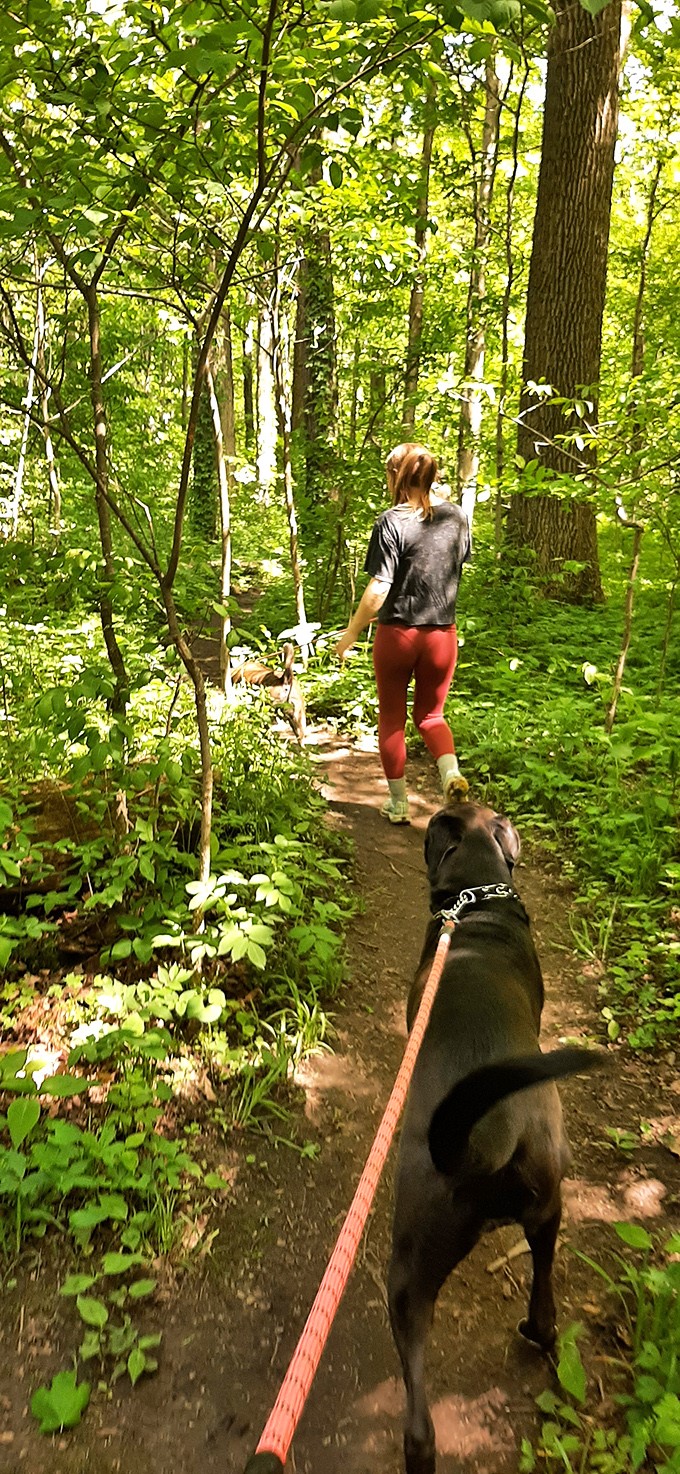 Nature's therapy session awaits on Shelbyville's wooded trails, where your only appointment is with the great outdoors.