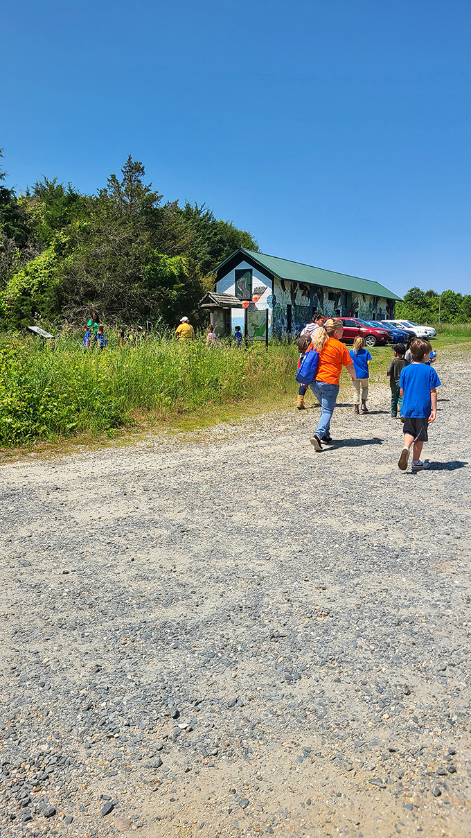 Nature's classroom doesn't require tuition. These kids are getting the kind of education that no iPad can deliver.