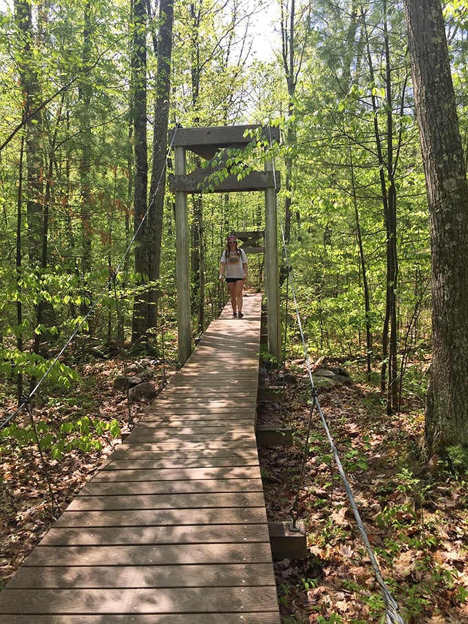 Nature's embrace awaits just minutes from downtown, where wooden boardwalks guide you through Vermont's lush forests like something from a fairy tale.