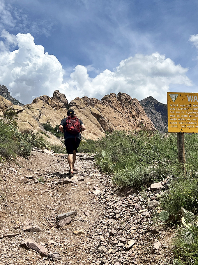 Hiking trails in the Organ Mountains offer everything from "pleasant stroll" to "why didn't I bring more water?" levels of adventure with postcard-worthy views.
