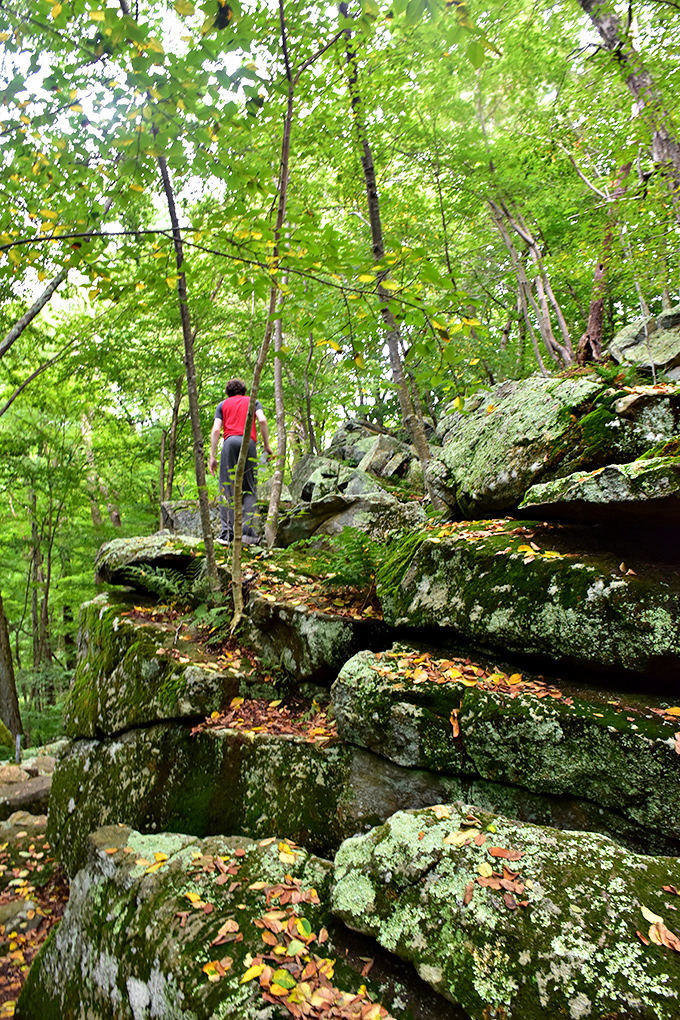 Nature trails around Putnam offer the kind of rocky, moss-covered scenery that makes you feel instantly adventurous.