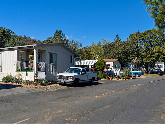 Mobile homes with actual yards? In California? It's not a mirage&mdash;it's just Yreka's refreshingly attainable housing market in action.