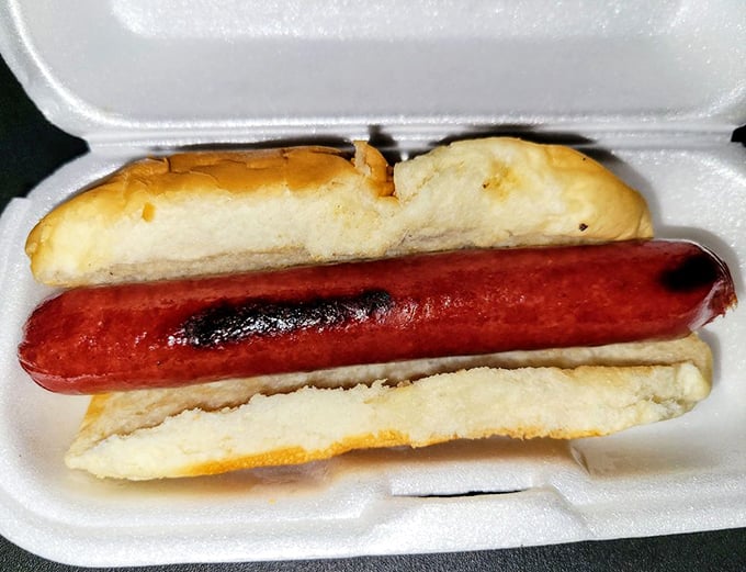 Behold the naked hot dog in all its unadorned glory. Like Michelangelo's David of fast food&mdash;simple, perfect, and waiting for your personal touch.
