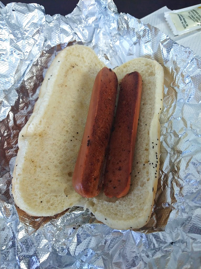 Simplicity sometimes speaks volumes. This naked hot dog awaits its destiny, like a blank canvas before Picasso gets his hands on it.