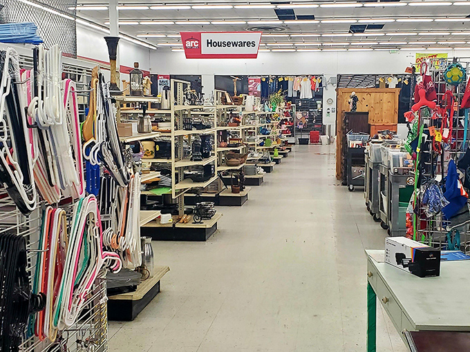 The housewares section: where kitchen gadgets and home accessories stage their comeback tour, organized with the precision of a department store but priced for real-life budgets.