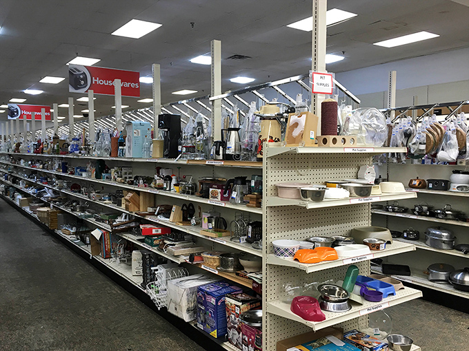 The housewares section: where someone else's "I don't need this anymore" becomes your "How did I live without this?" Pyrex paradise awaits.