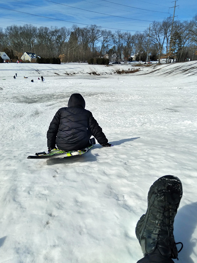 Winter in Springfield transforms ordinary slopes into neighborhood playgrounds, where sledding adventures cost nothing but deliver priceless memories.