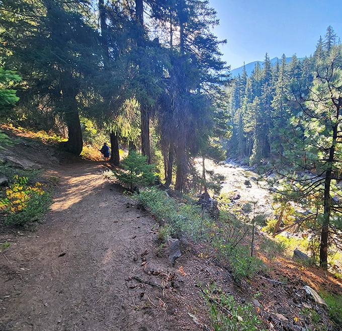 Hiking trails wind through sun-dappled forests where you half expect to encounter Hansel and Gretel&mdash;hopefully without the witch.