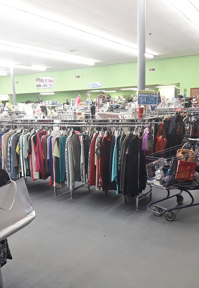 Racks upon racks of clothing create a textile rainbow, where $4.25 can transform your wardrobe and each aisle promises fashion resurrection.