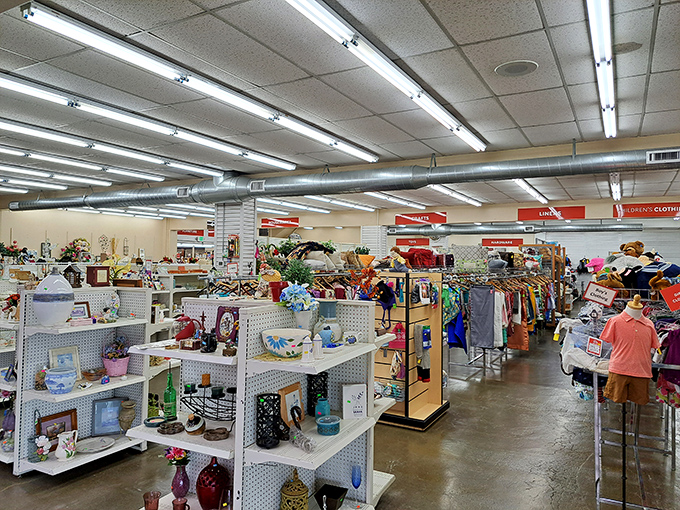 Aisle after aisle of kitchenware and home goods stretches into the distance, each shelf a time capsule of American domestic life.