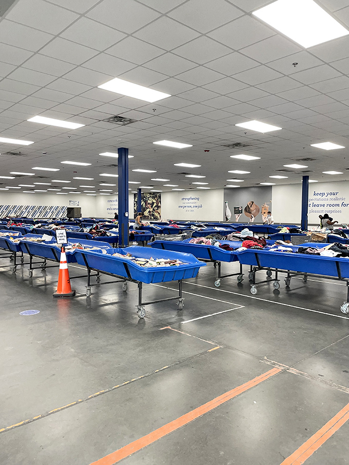 Blue bins as far as the eye can see – like an archaeological dig where instead of dinosaur bones, you might unearth a pristine Brooks Brothers shirt.