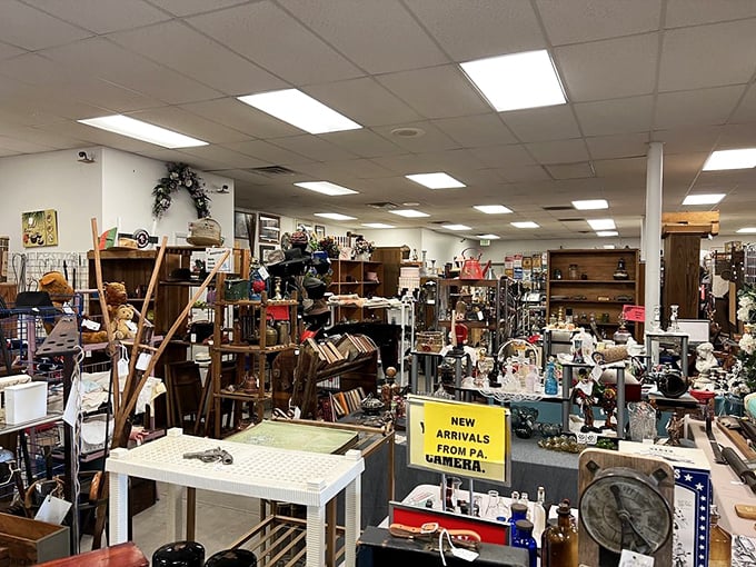 Organized chaos at its finest! Each aisle promises unexpected discoveries, from furniture to figurines. The treasure hunter's equivalent of Disneyland.