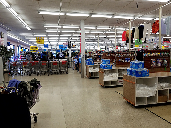 Fluorescent lights illuminate acres of possibility, where shopping carts stand ready for their treasure-hunting expeditions.