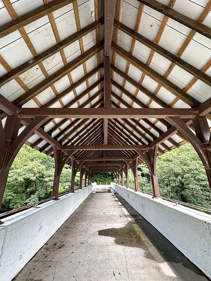 A dedicated angler tests his luck in the crystal-clear Little River, proving the bridge isn't just for crossing—it's for creating memories.