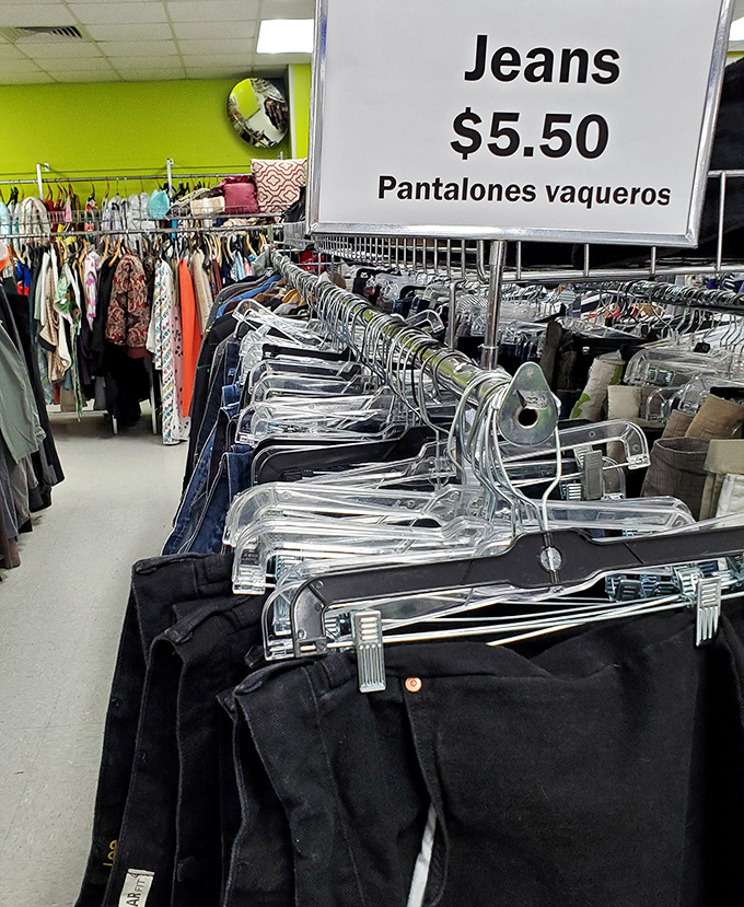 Denim dreams at $5.50 a pop. In the world of fashion mathematics, this equation always equals style divided by cost multiplied by satisfaction.