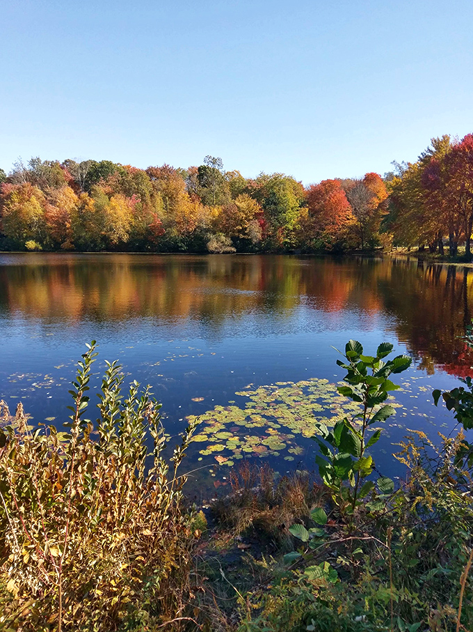 Fall foliage creates nature's perfect mirror image at Juniper Pond, where retirement dollars stretch as far as the peaceful views across the water.