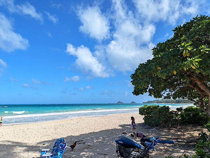 When the office is this view, suddenly Monday morning doesn't seem quite so terrible after all. 