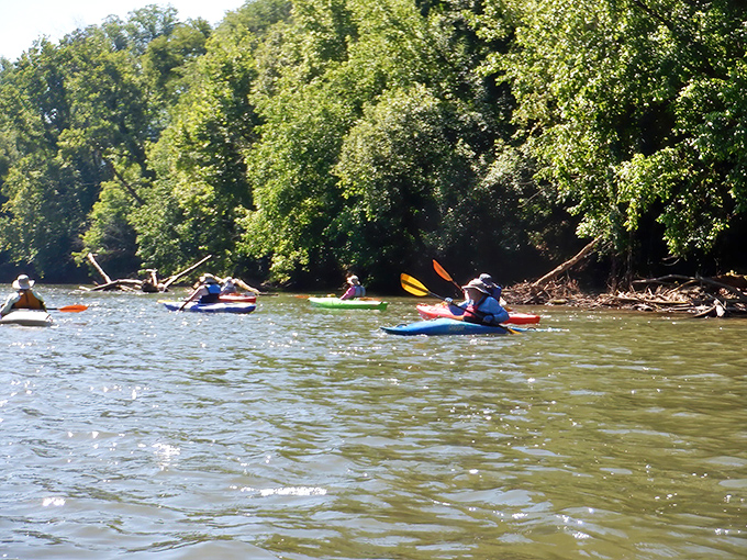 River therapy at its finest. Kayaking the Yadkin River offers the kind of peaceful adventure that makes retirement worth waiting for.