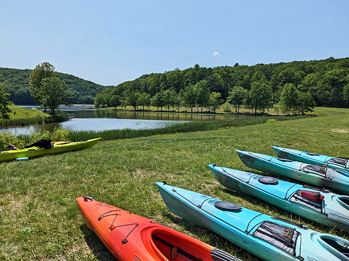 Kayaks wait patiently by the shore like colorful candies, promising sweet adventures on waters that reflect Maryland's endless summer sky.