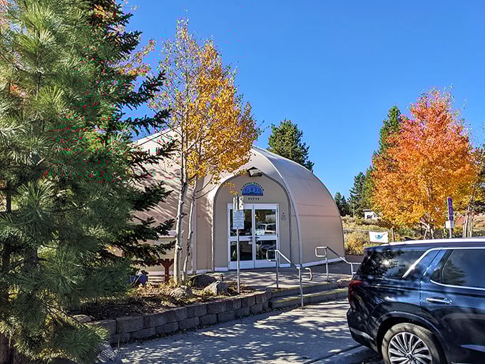 The KidZone Museum's distinctive quonset hut design stands out against autumn foliage, a playful destination where young imaginations soar.