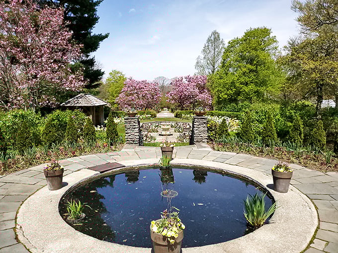 Kingwood Center Gardens offers 47 acres where your knees might complain but your soul will thank you.