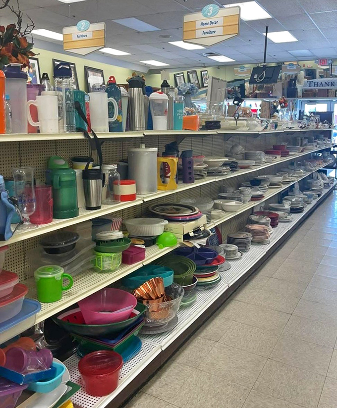 Colorful kitchenware lined up like contestants waiting to audition for a spot in your cupboard &ndash; may the best mug win.