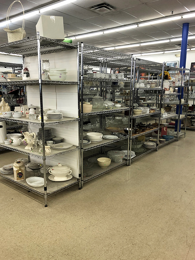 Dish paradise! Grandma's vintage Pyrex sits beside modern servingware, each piece waiting to star in your kitchen's second act.