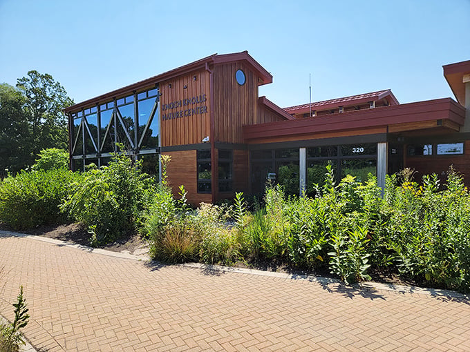 Knoch Knolls Nature Center proves that environmental education can look cooler than most downtown apartments.