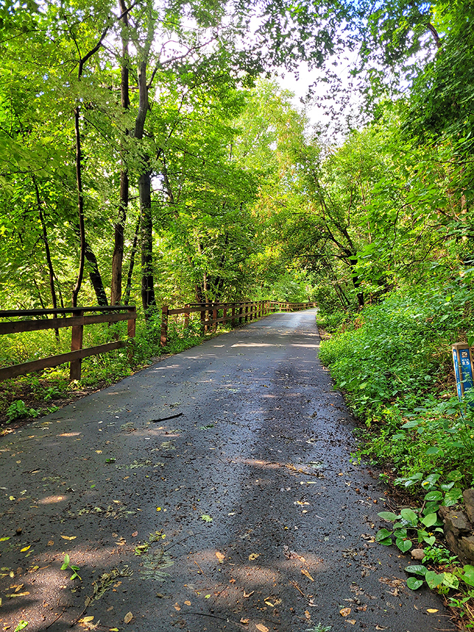 Nature reclaims its space along the Lackawanna River Heritage Trail, offering a peaceful escape where retirement dollars stretch as far as the path ahead.