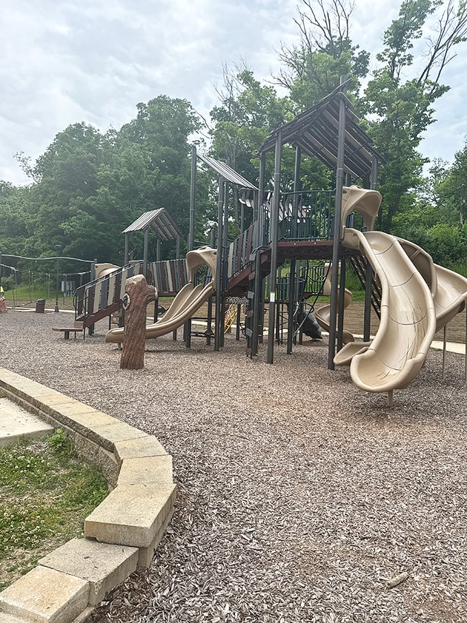 Morton Park's open spaces invite you to remember what grass feels like under your feet and why that matters.