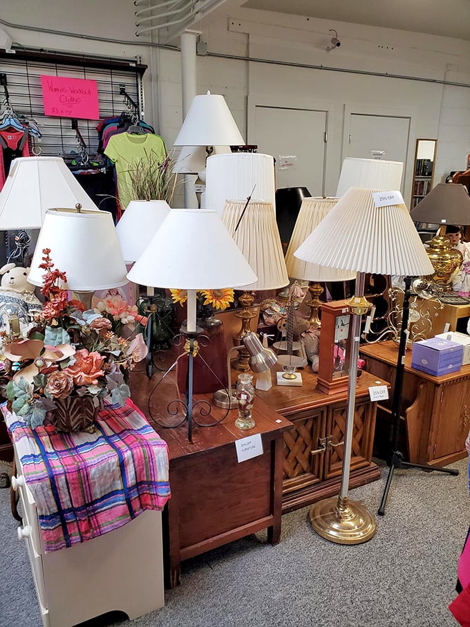 Lamp lovers, rejoice! This illuminating collection could brighten any Wyoming living room and your bargain-hunting spirit simultaneously.