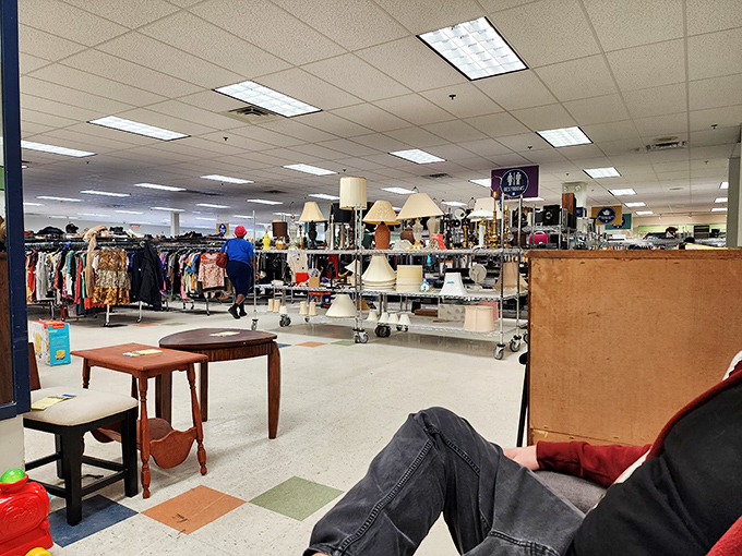The lamp section glows with possibility. Like a forest of illuminated mushrooms, these fixtures wait to brighten someone's reading nook or cast dramatic shadows across a dinner party.