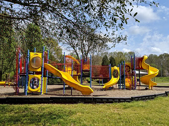 Bright primary colors against Carolina blue skies – this playground isn't just equipment, it's where imagination still outperforms any tablet or smartphone.