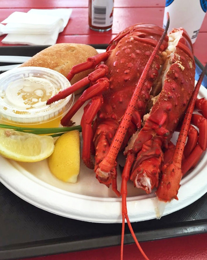 This isn't just a lobster; it's a crimson celebration of the ocean's bounty, served with the kind of simplicity that lets quality speak for itself.